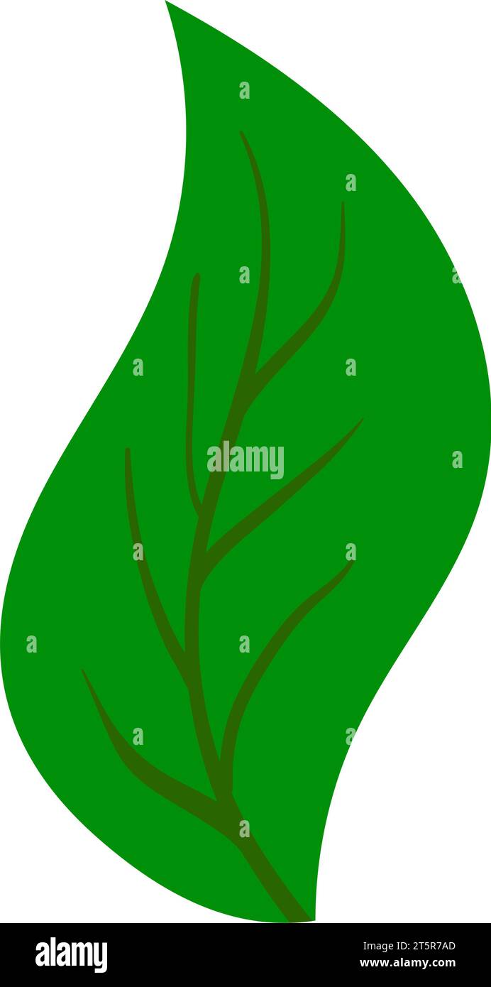 Tree leaf. Suitable for different designs. Vector Illustration Stock ...