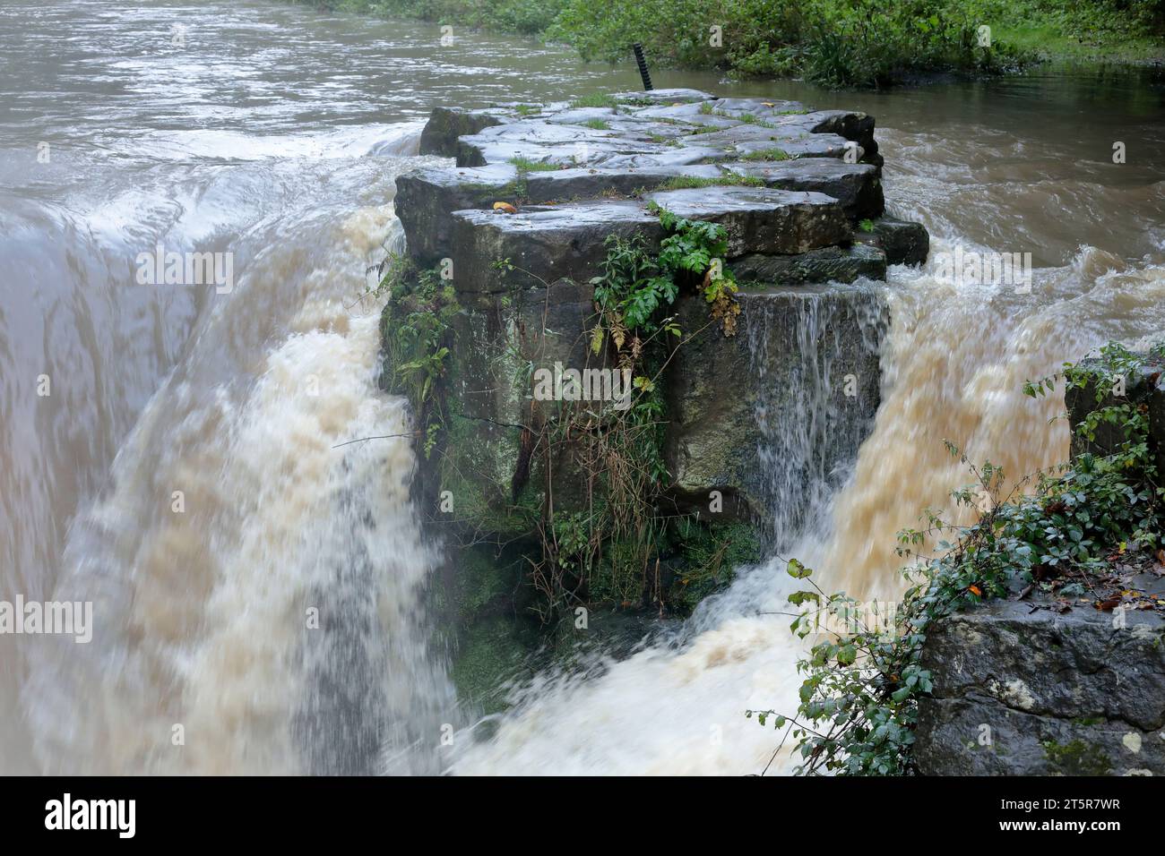 Jesmond dene park hi-res stock photography and images - Alamy