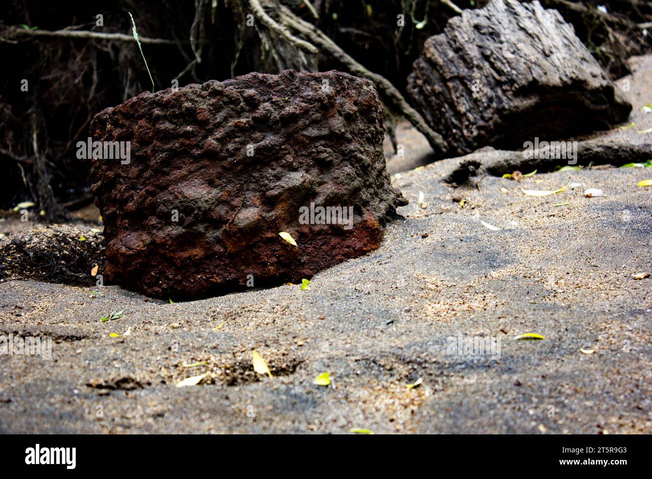 Objects by the river Stock Photo - Alamy