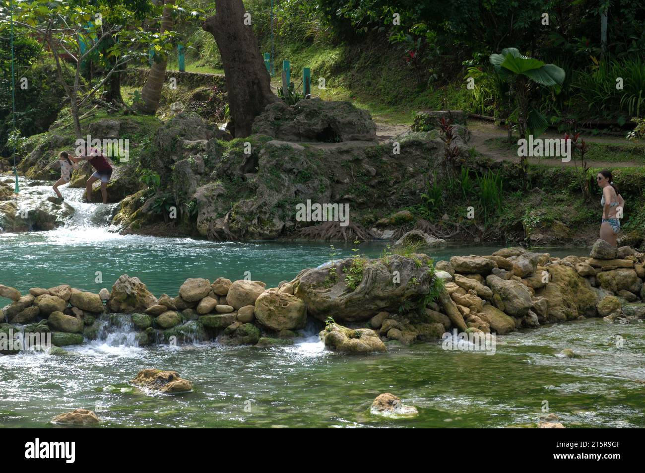 Evergreen cascades waterfall hi-res stock photography and images - Alamy