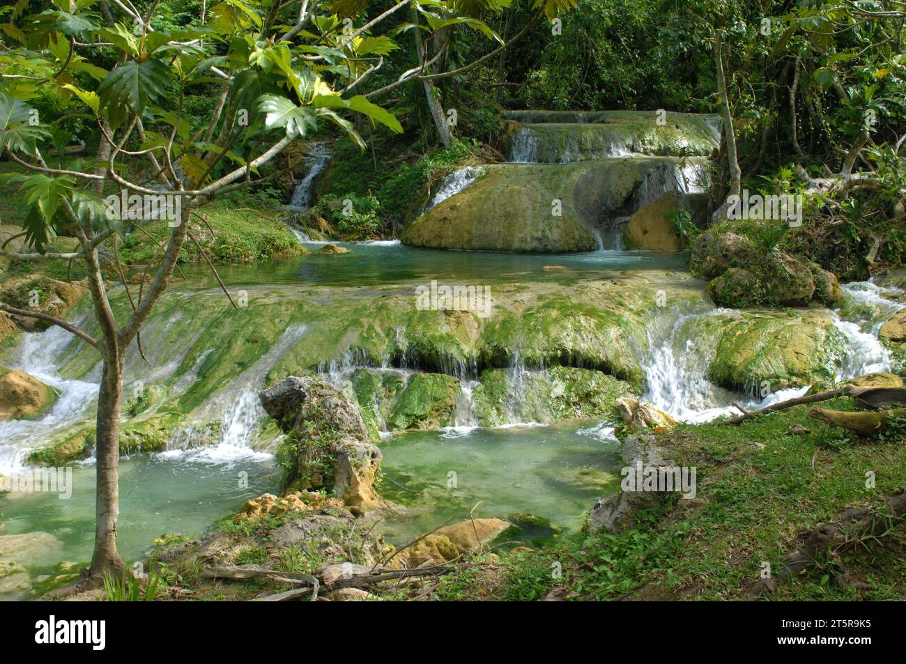 Evergreen cascades waterfall hi-res stock photography and images - Alamy