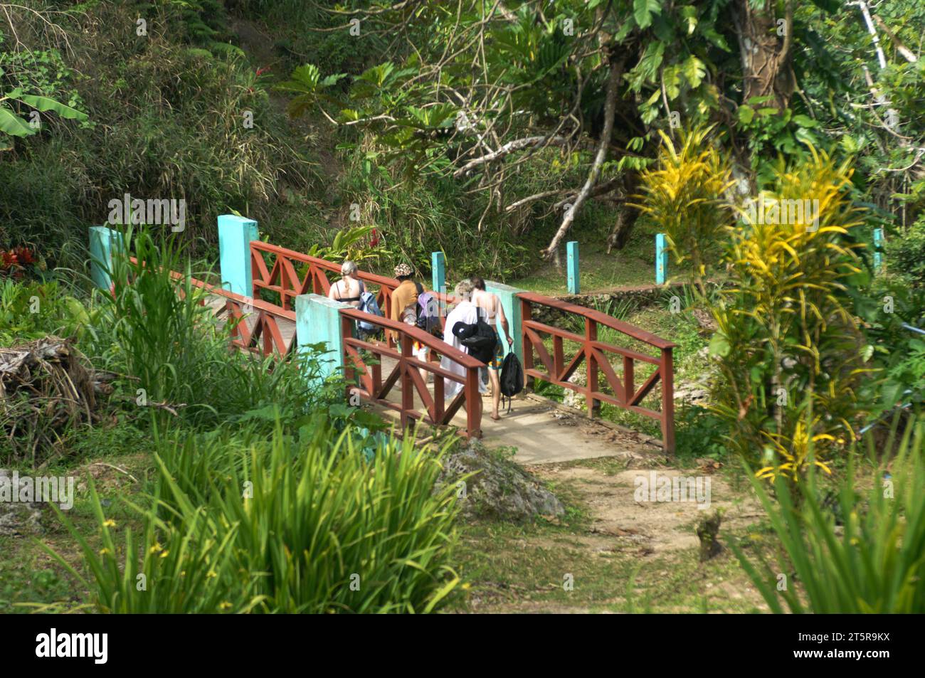 Pathway to the waterfalls, Evergreen Cascades Waterfall, Mele Maat ...