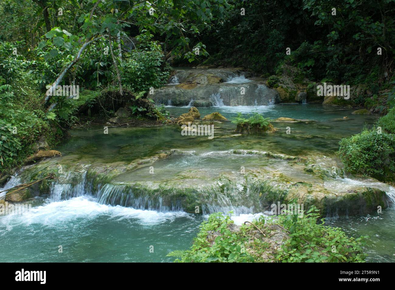 Evergreen cascades waterfall hi-res stock photography and images - Alamy