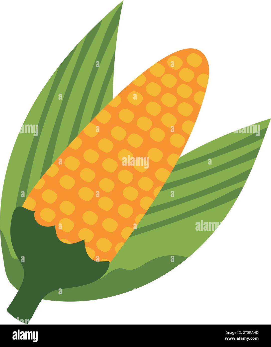 golden corn illustration vector isolated Stock Vector Image & Art - Alamy