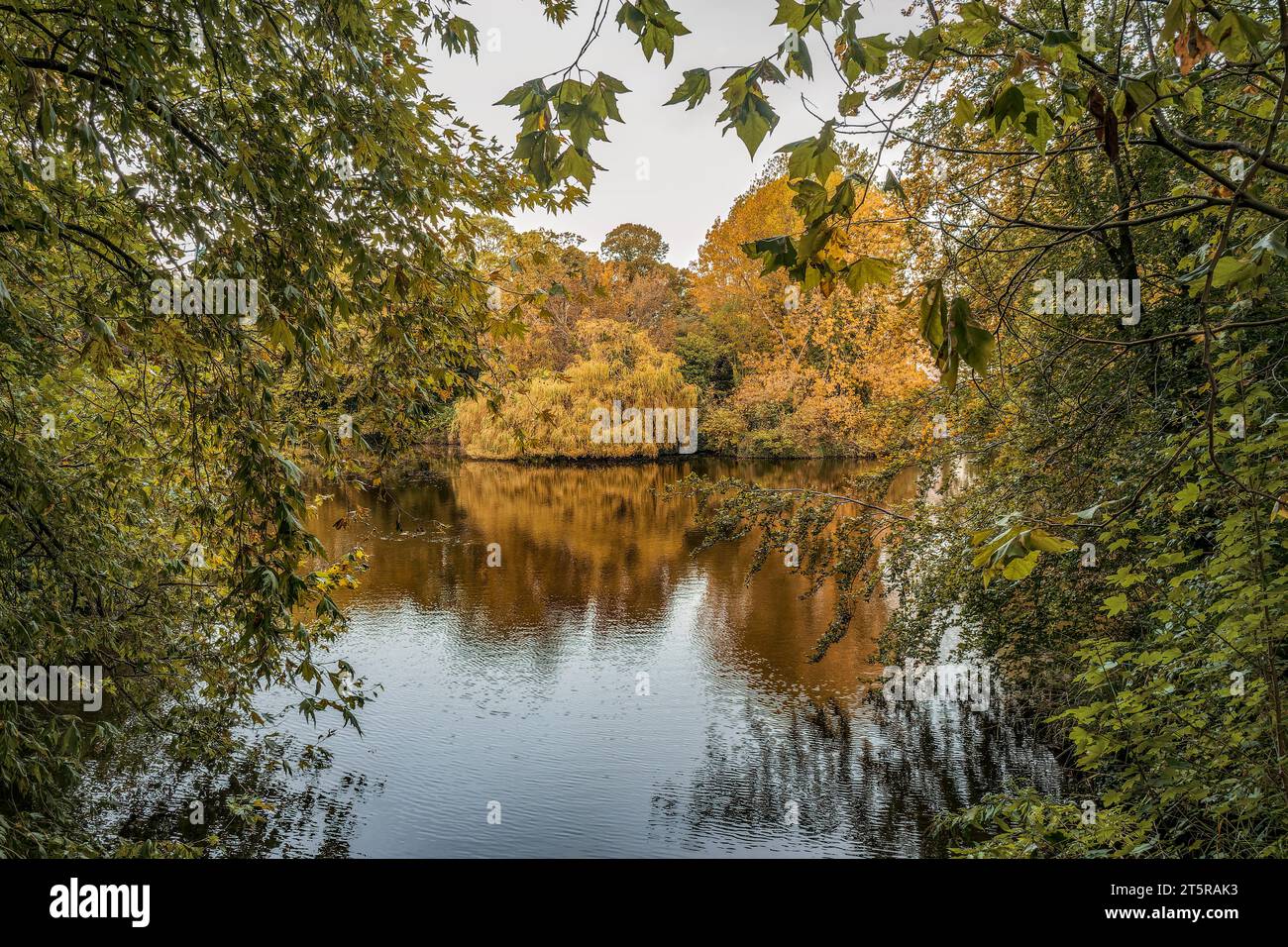 Landscape photo at St. Stephen’s Park. Dublin, Ireland Stock Photo - Alamy