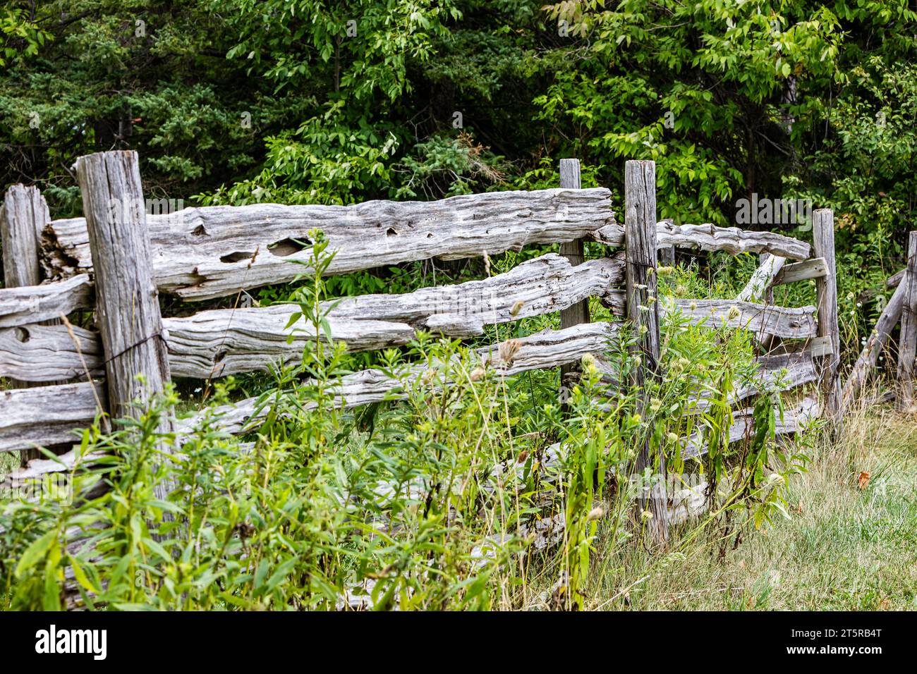 Old wooden farm hi-res stock photography and images - Alamy