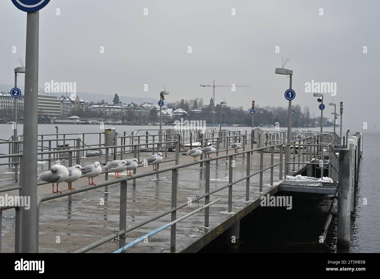 Pier on the lake Zurich in the personal harbor. There are gray railings ...