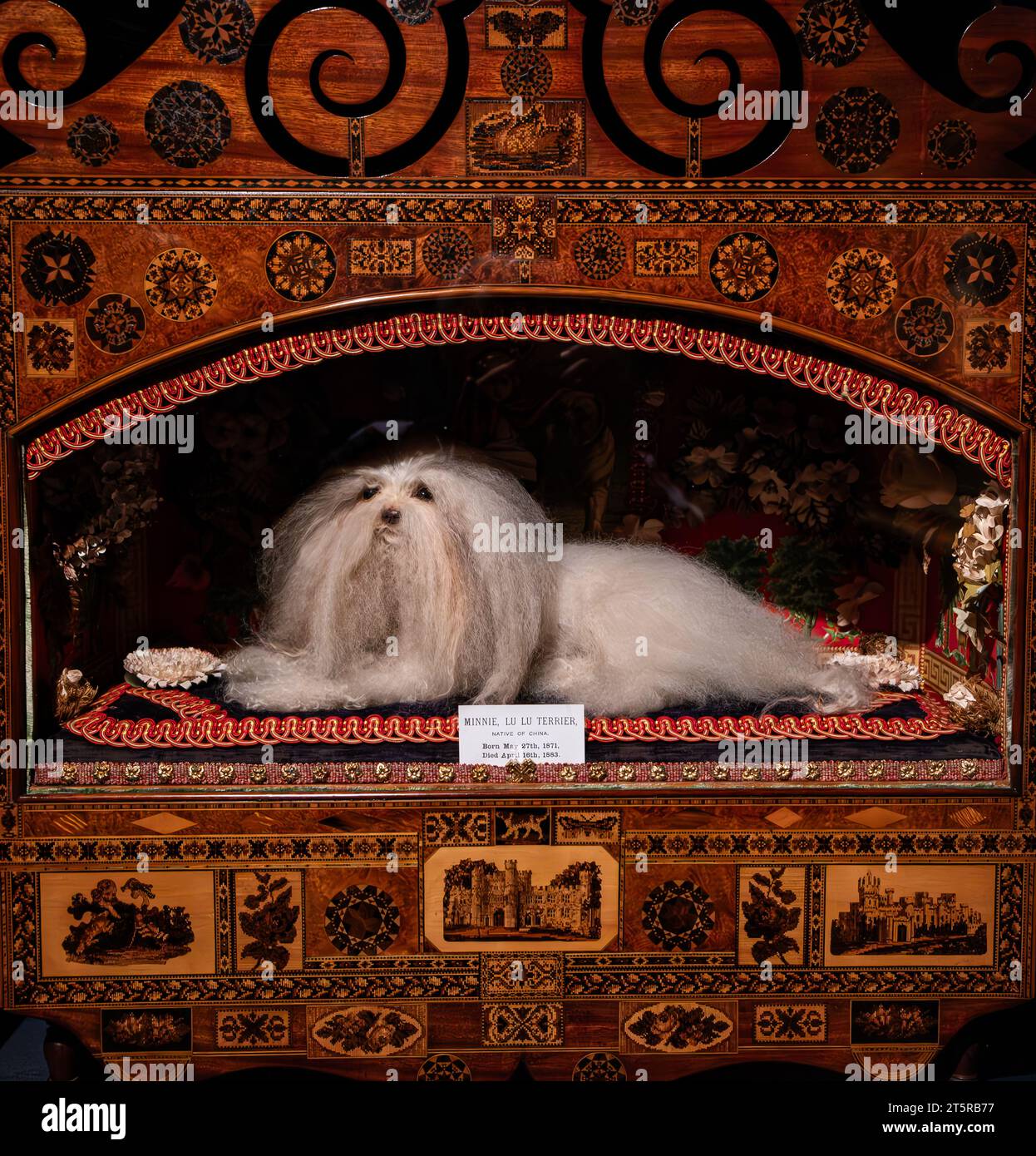 Special Exhibition - Paintings of the Dogs in Wallace Collection museum ...