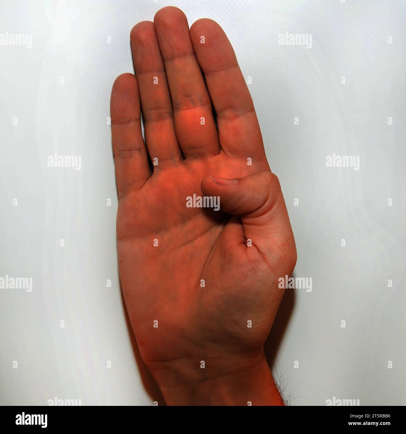 Letter B in American Sign Language (ASL) for deaf people Stock Photo ...
