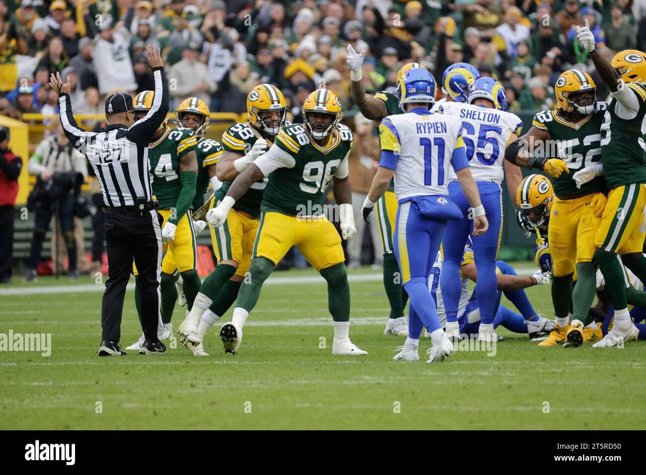 Green Bay Packers defensive tackle Colby Wooden (96) during an NFL ...