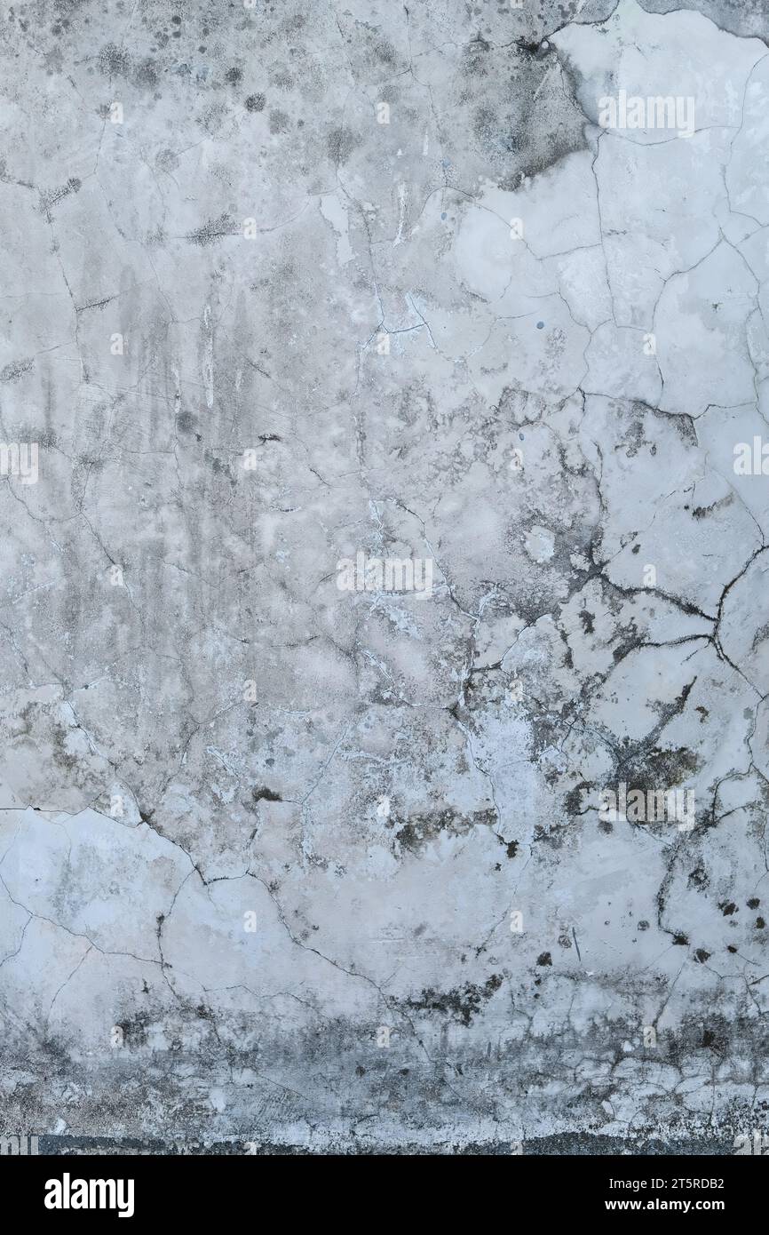 Mold outside wall hi-res stock photography and images - Alamy