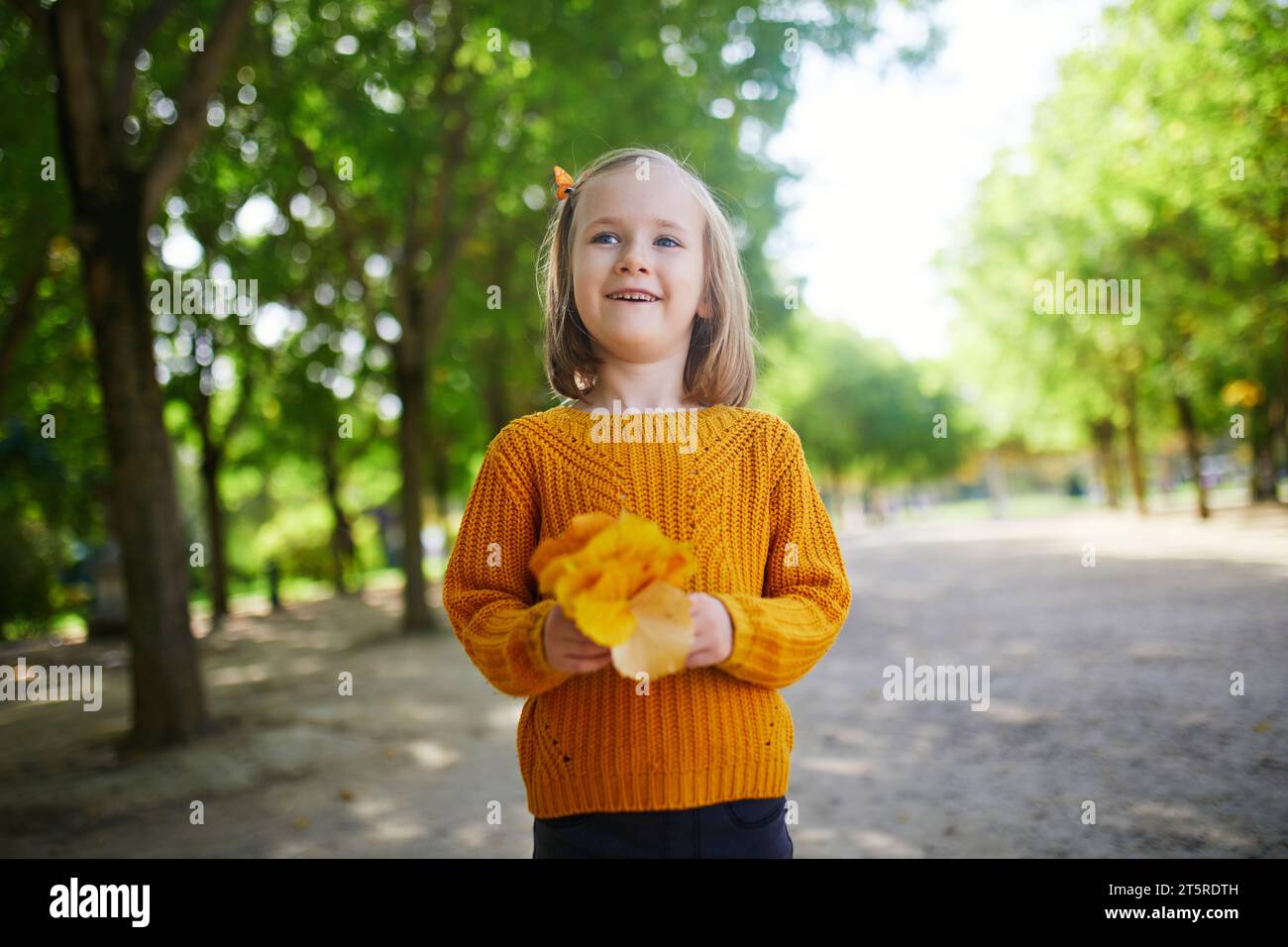 Adorable preschooler girl enjoying autumn day outdoors. Happy child gathering autumn leaves in ...