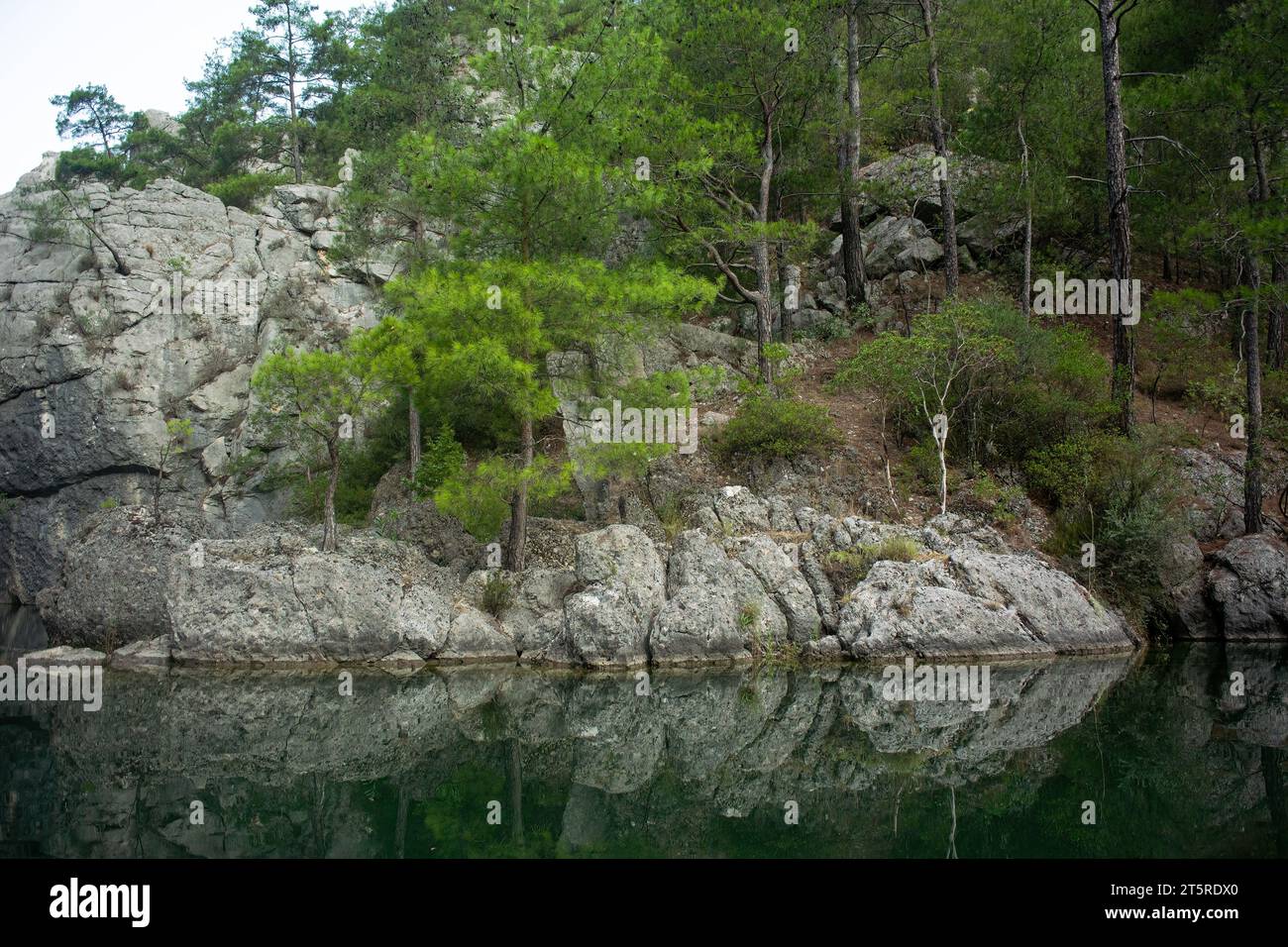 Trees growing out of rocks hi-res stock photography and images - Alamy