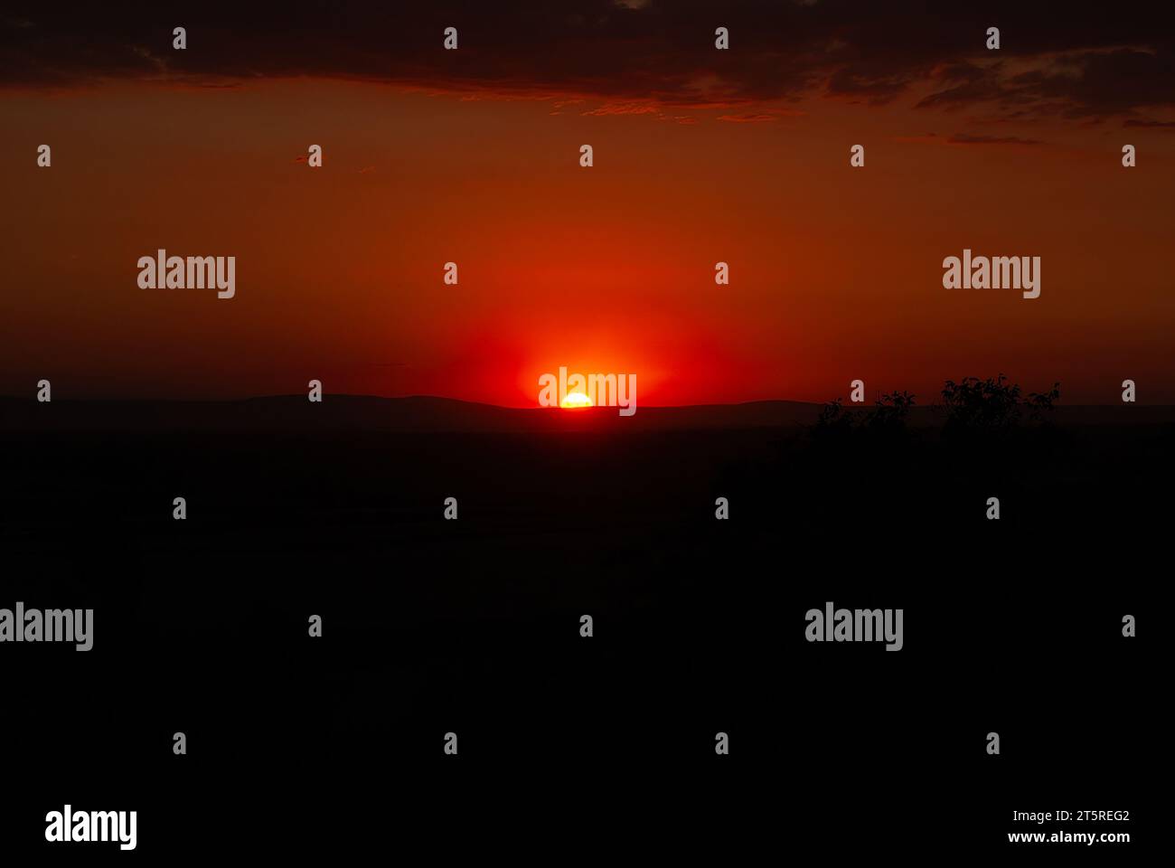 Gold coloured sun hi-res stock photography and images - Alamy
