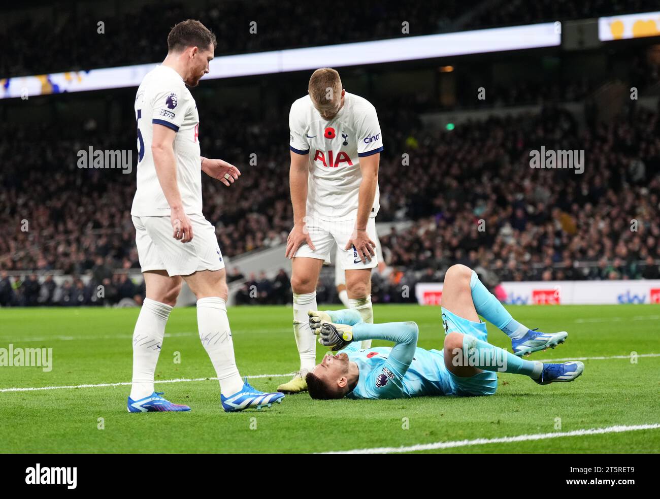 Tottenham Hotspur goalkeeper Guglielmo Vicario lays injured after ...