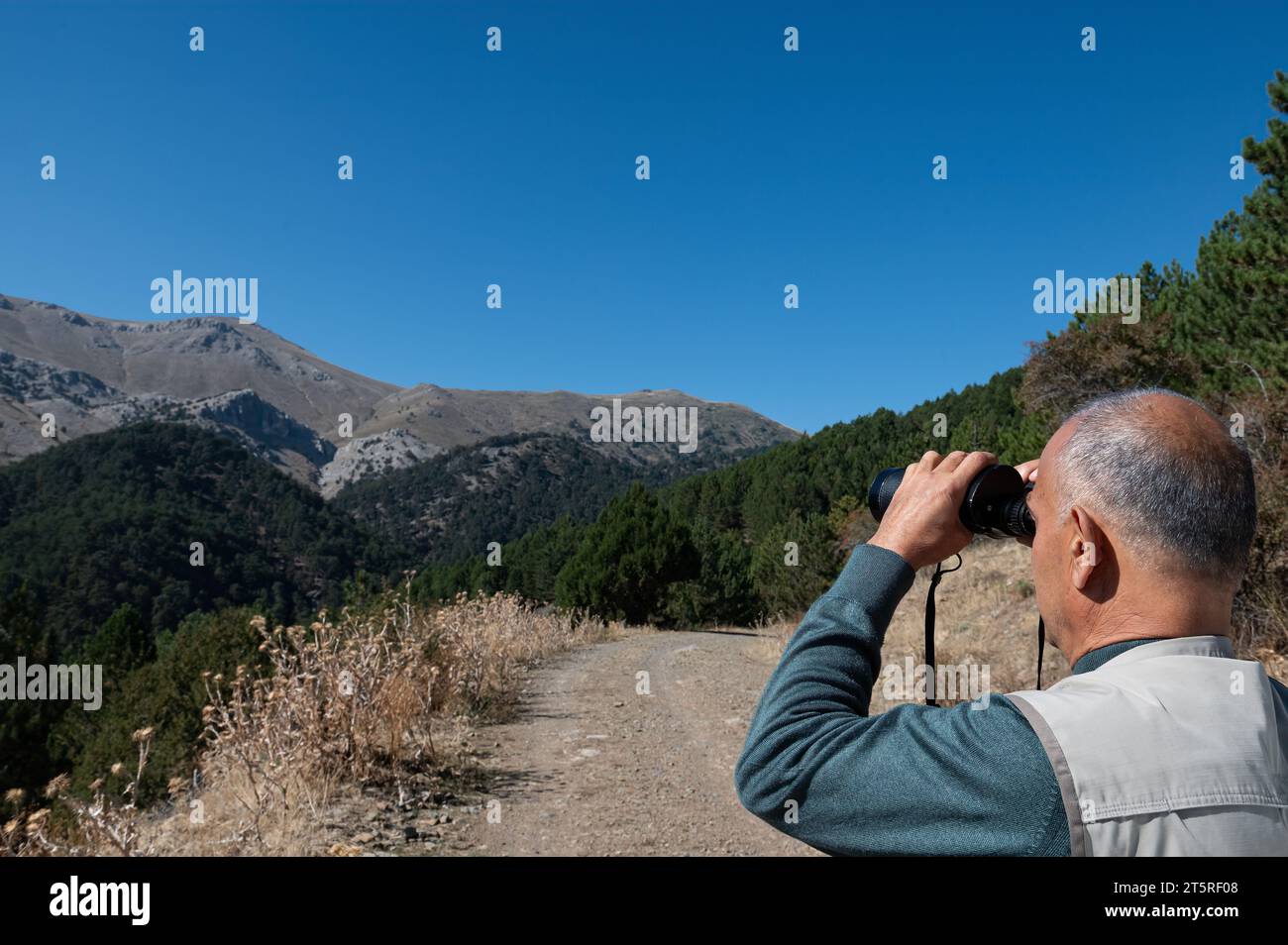 A man observing through binoculars. Wildlife observation. Bird watching ...