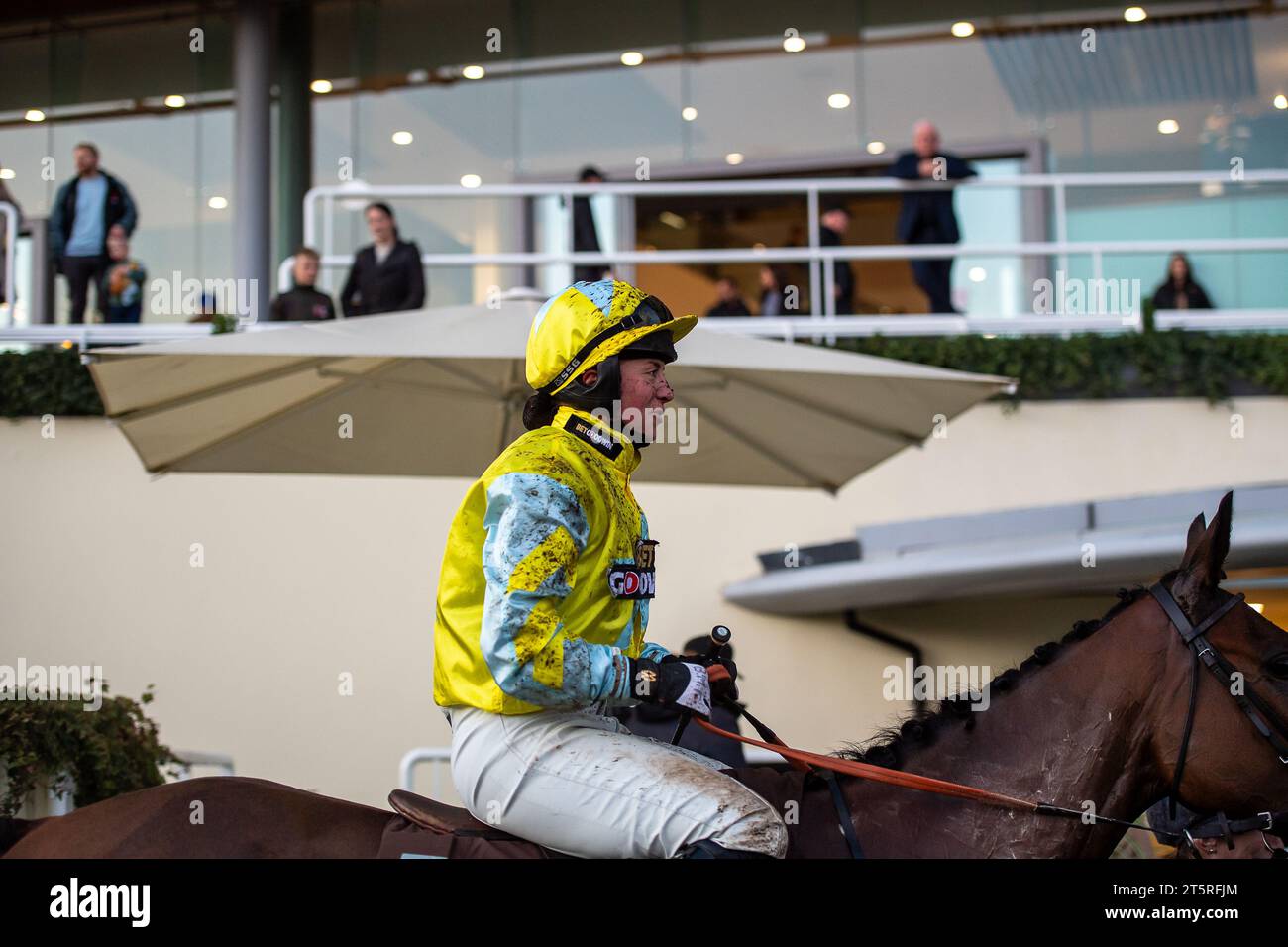 Electric mason horse hi-res stock photography and images - Alamy