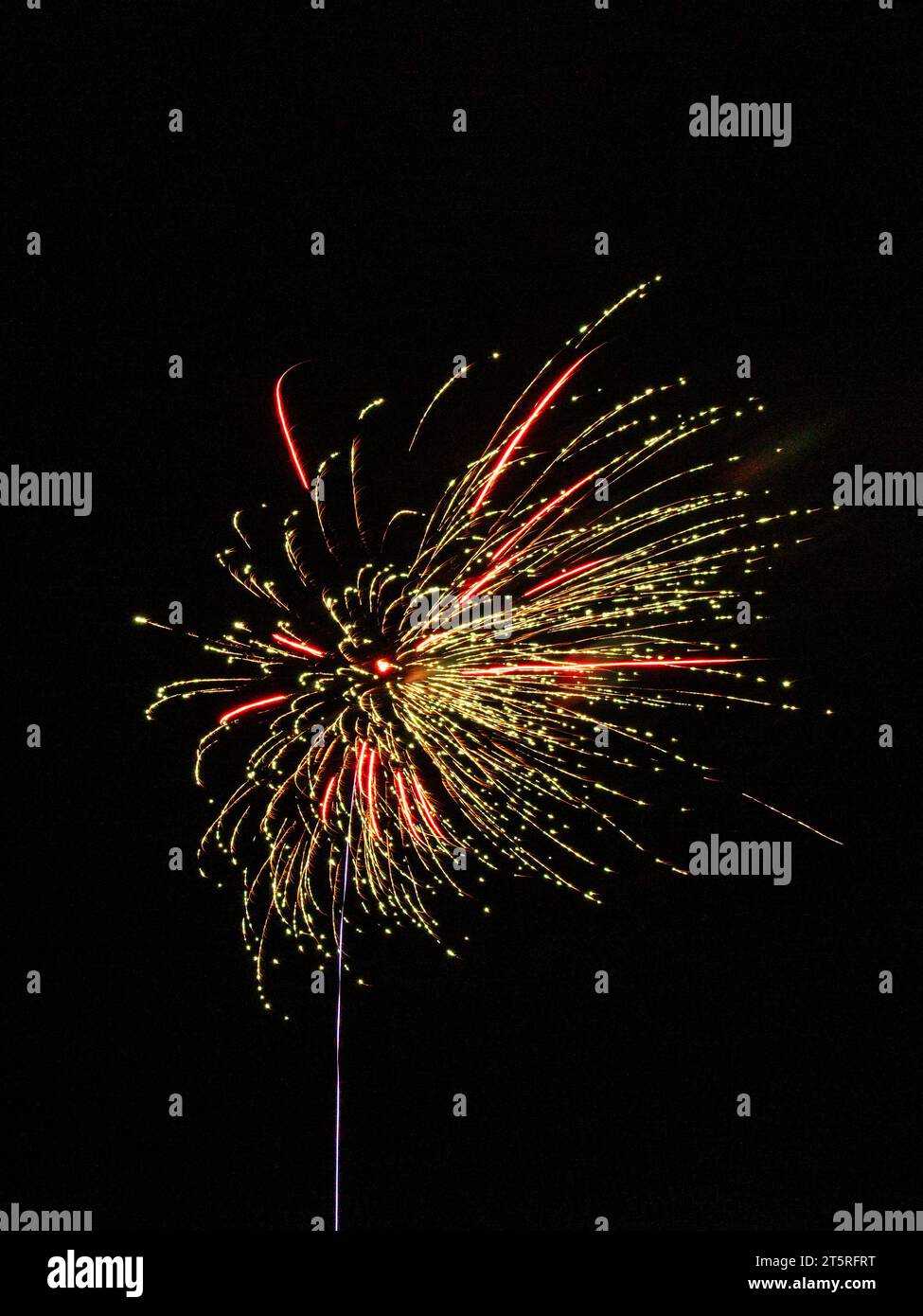 Firework display to celebrate the Near Year and Bonfire Night Stock ...