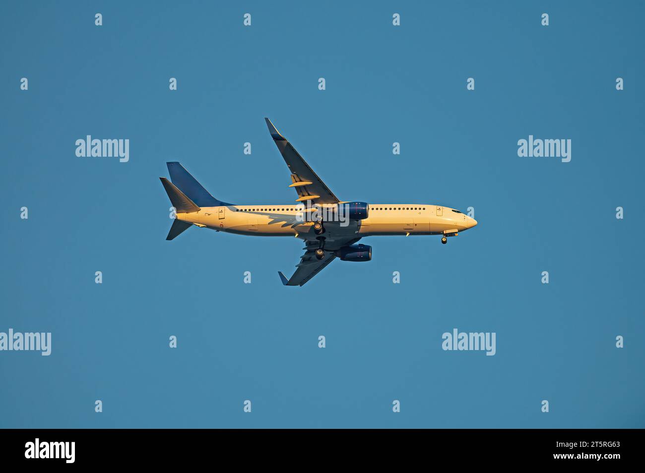 A passenger plane landing. Passenger plane flying in the sky. Aircraft ...