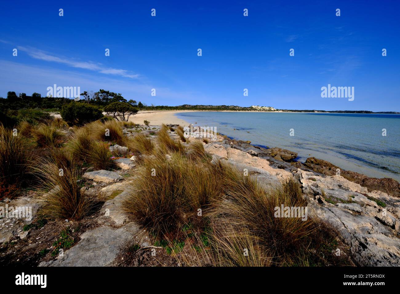 Deserted sandy beach at Coffin Bay in the Eyre Peninsula region of ...
