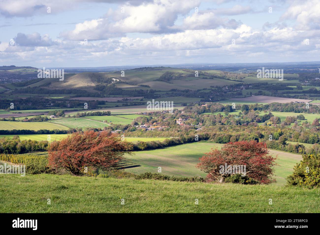 View of Firle and the South Downs in autumn with hawthorn trees, East ...