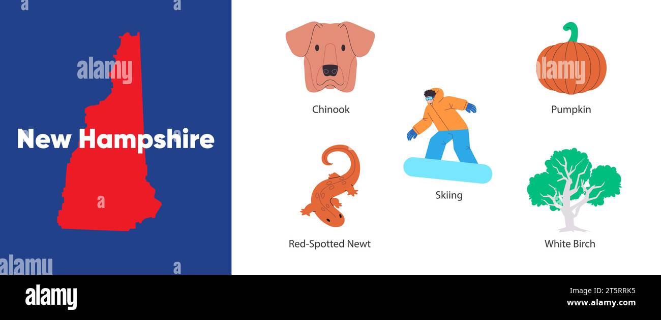New Hampshire states with symbol icon of chinook pumpkin skiing red ...