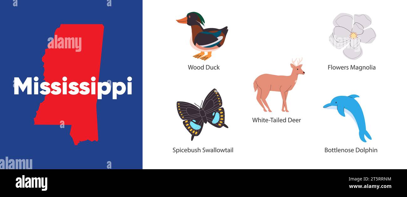 Mississippi states with symbol icon of magnolia spicebush swallowtail ...