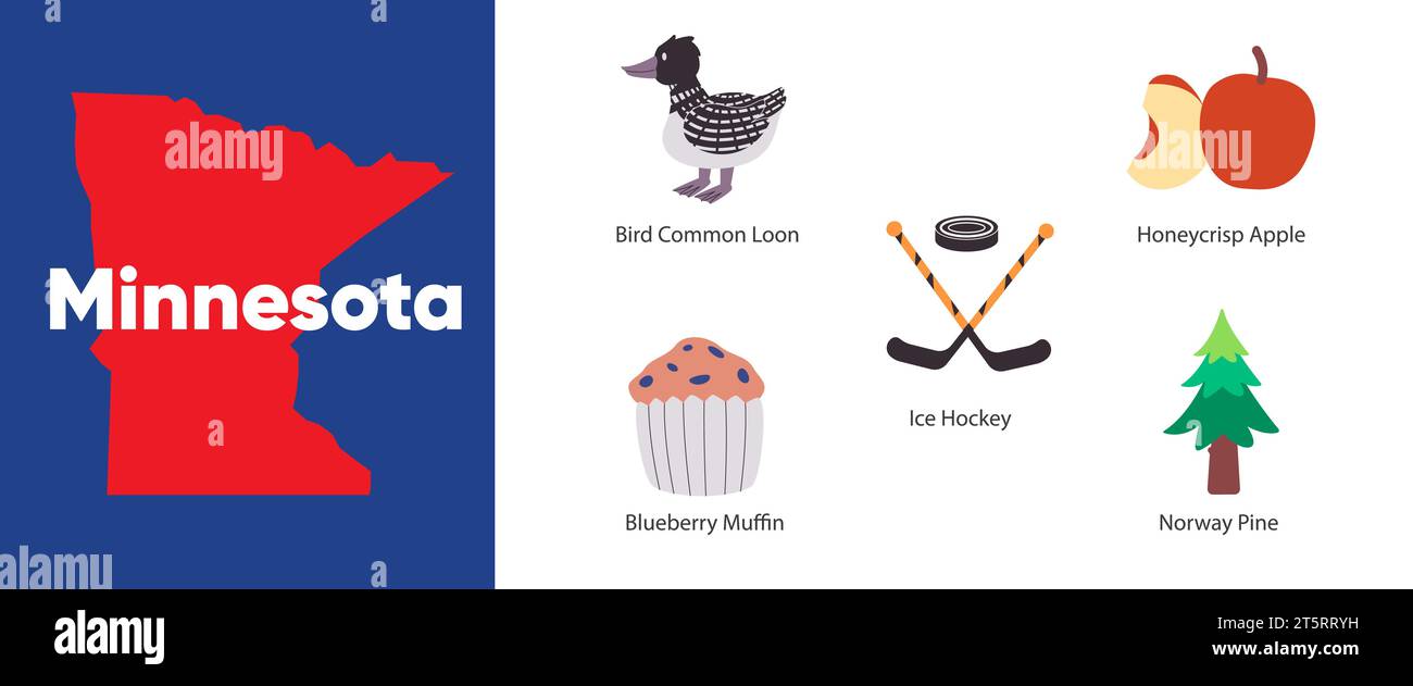 Minnesota states with symbol icon of common loon blueberry muffin ice ...