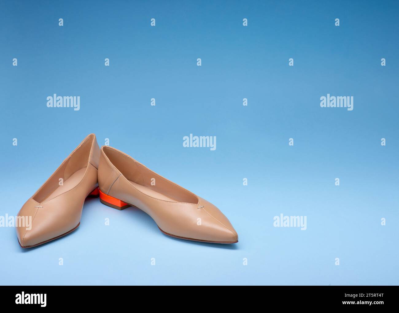 A pair of modern beige pointed-toe ballet shoes. Contrast design with ...