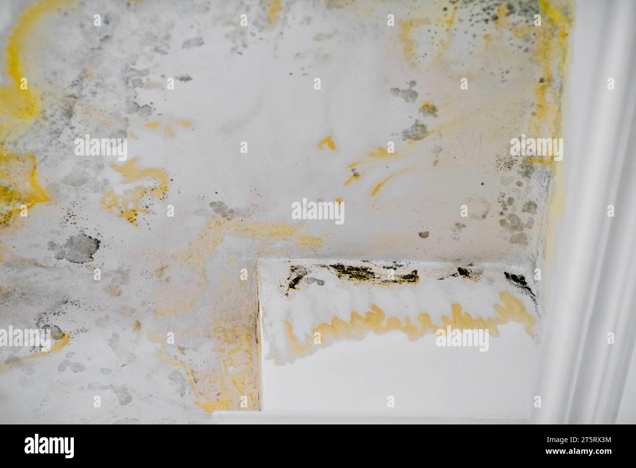 Close-up shot of the damaged ceiling with peeled whitewash, stains and ...