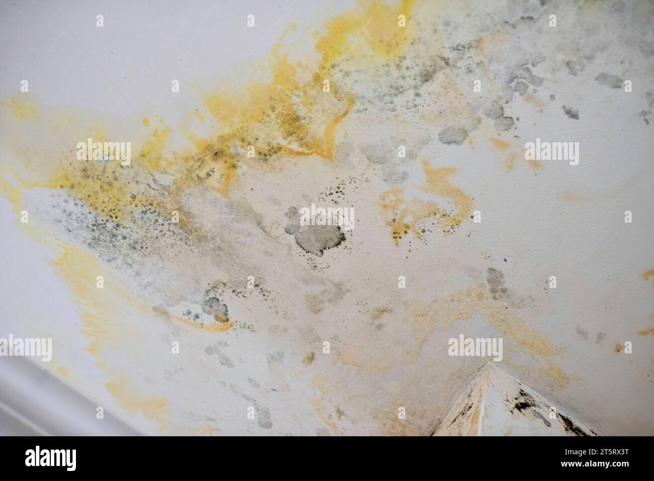 Water-damaged ceiling from flooding by neighbors or damaged rooftop ...