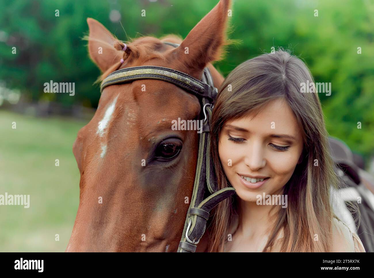 A woman and horse are depicted in close-up in a rural setting ...