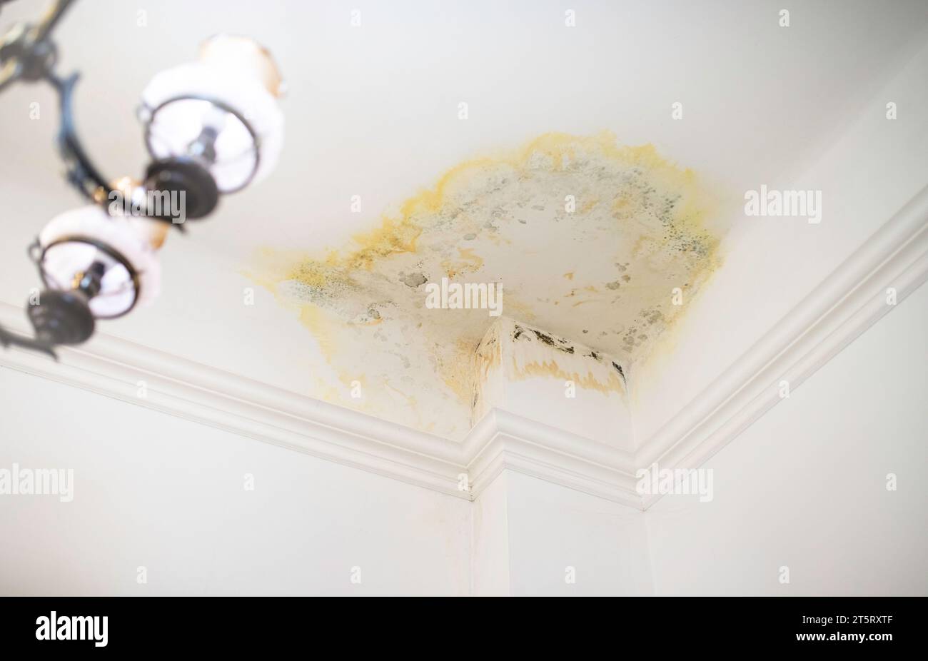 Water leak ceiling hi-res stock photography and images - Alamy