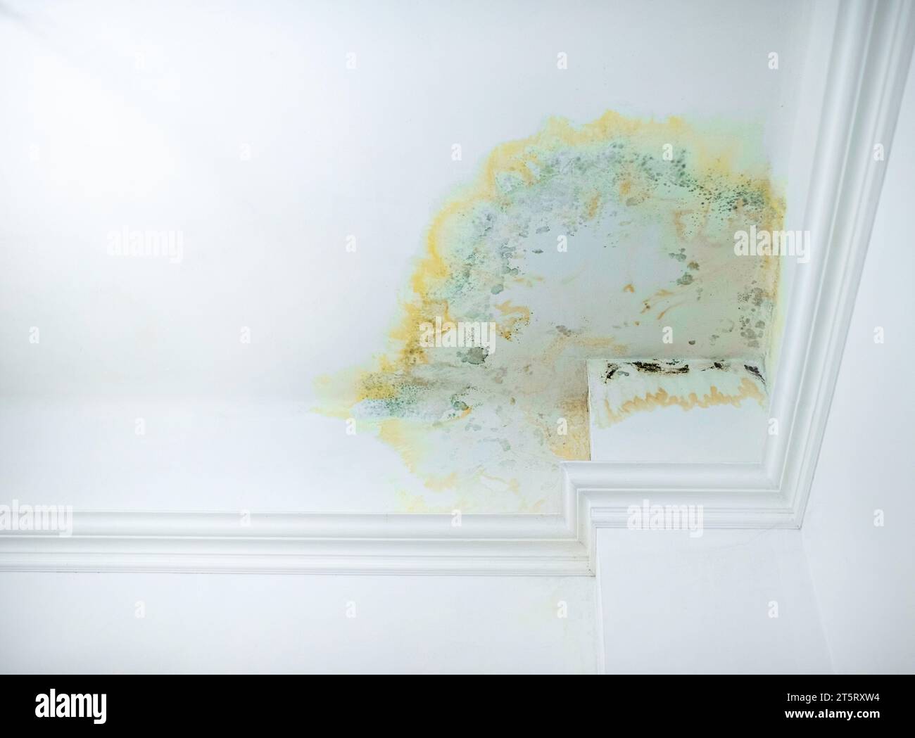 Burst pipe hi-res stock photography and images - Alamy