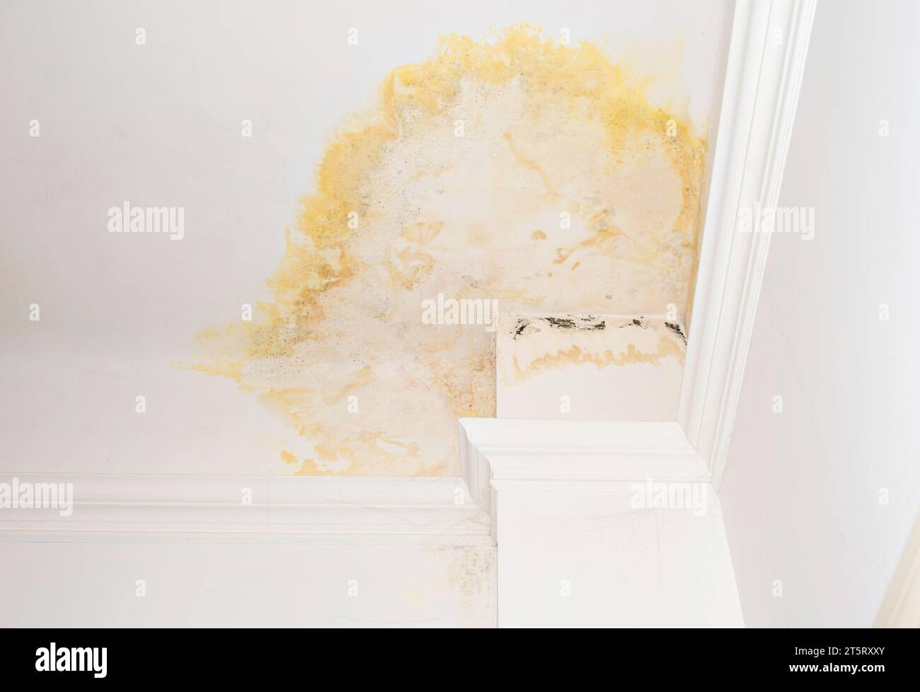 Flooded ceiling caused by nearby residents or a leaking roof. neighbors ...