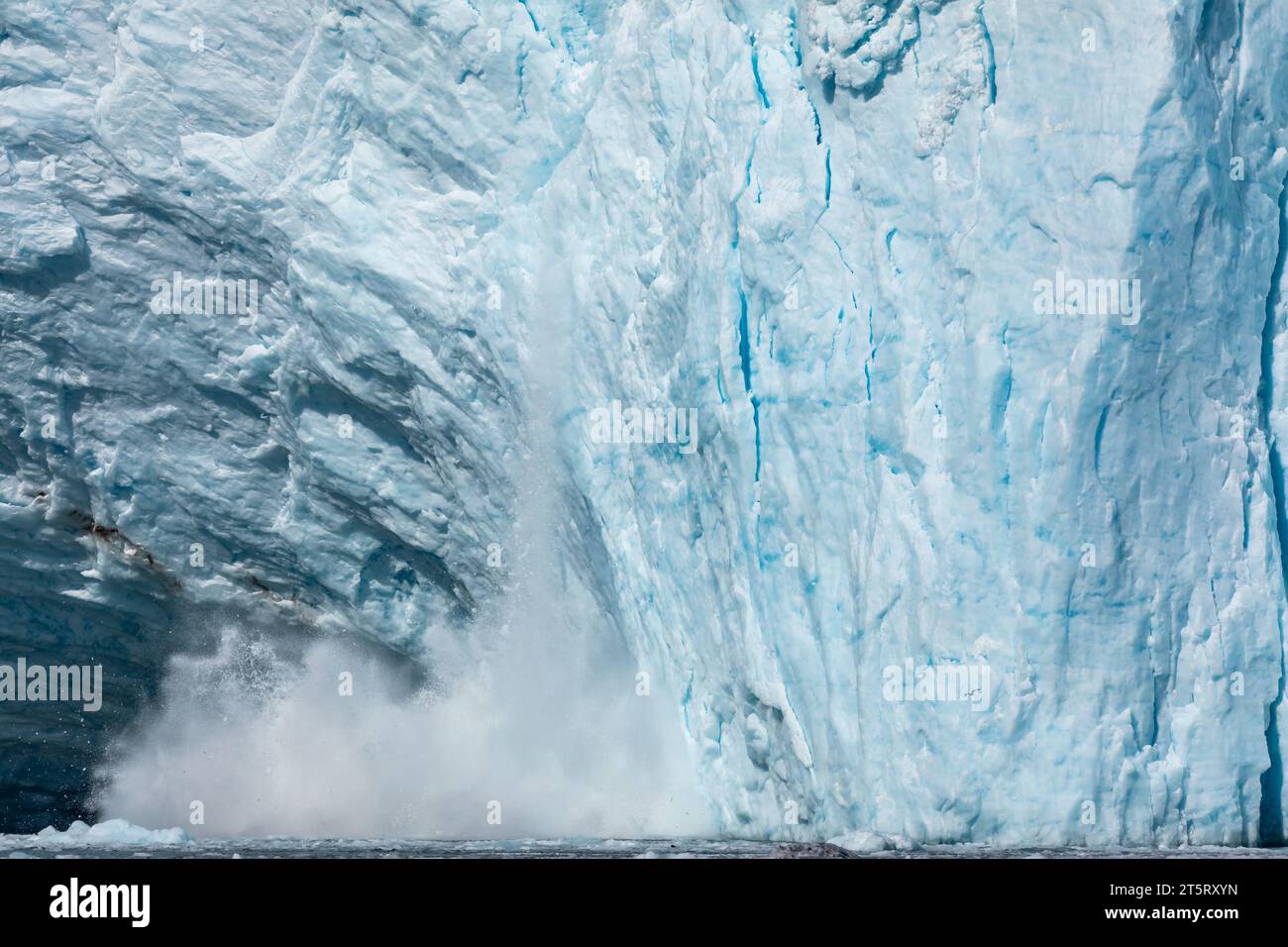 Blue ice of the Aialik Glacier calving into the ocean waters of the ...
