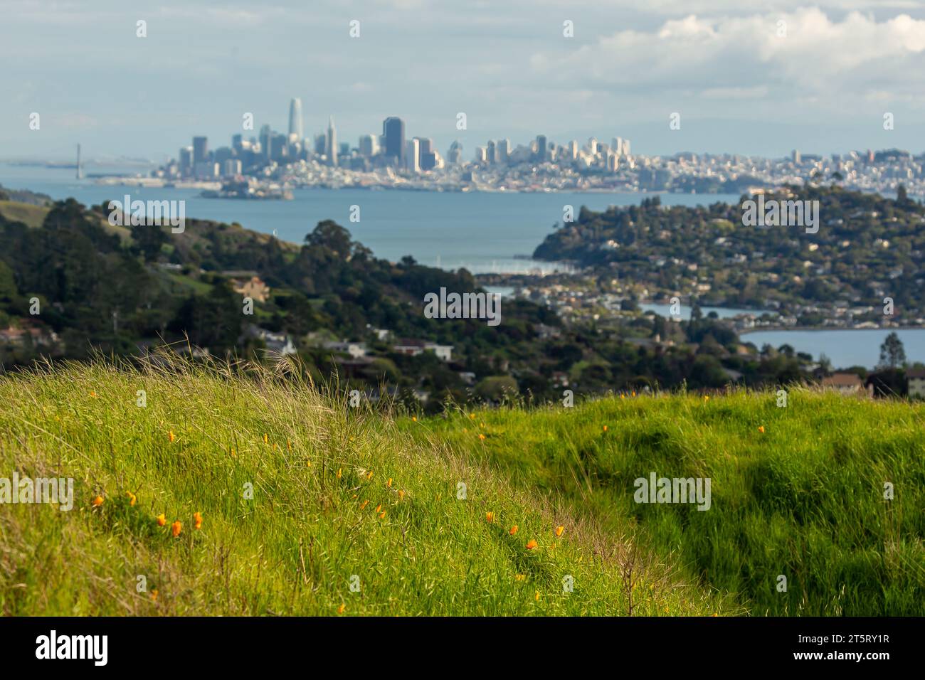 Rolling green hills of Marin Headlands and San Francisco Skyline Stock ...