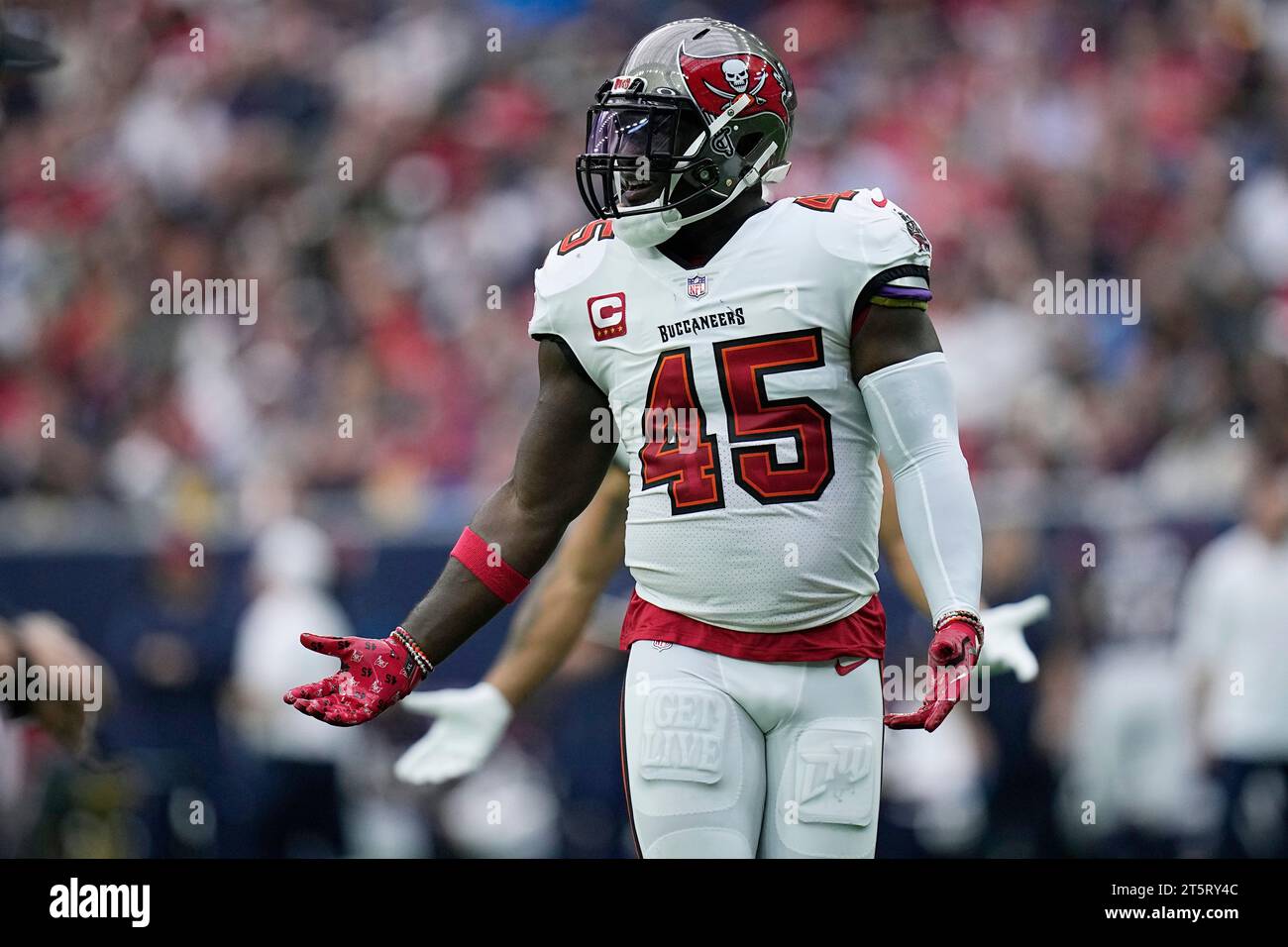 Tampa Bay Buccaneers linebacker Devin White (45) during the first half ...