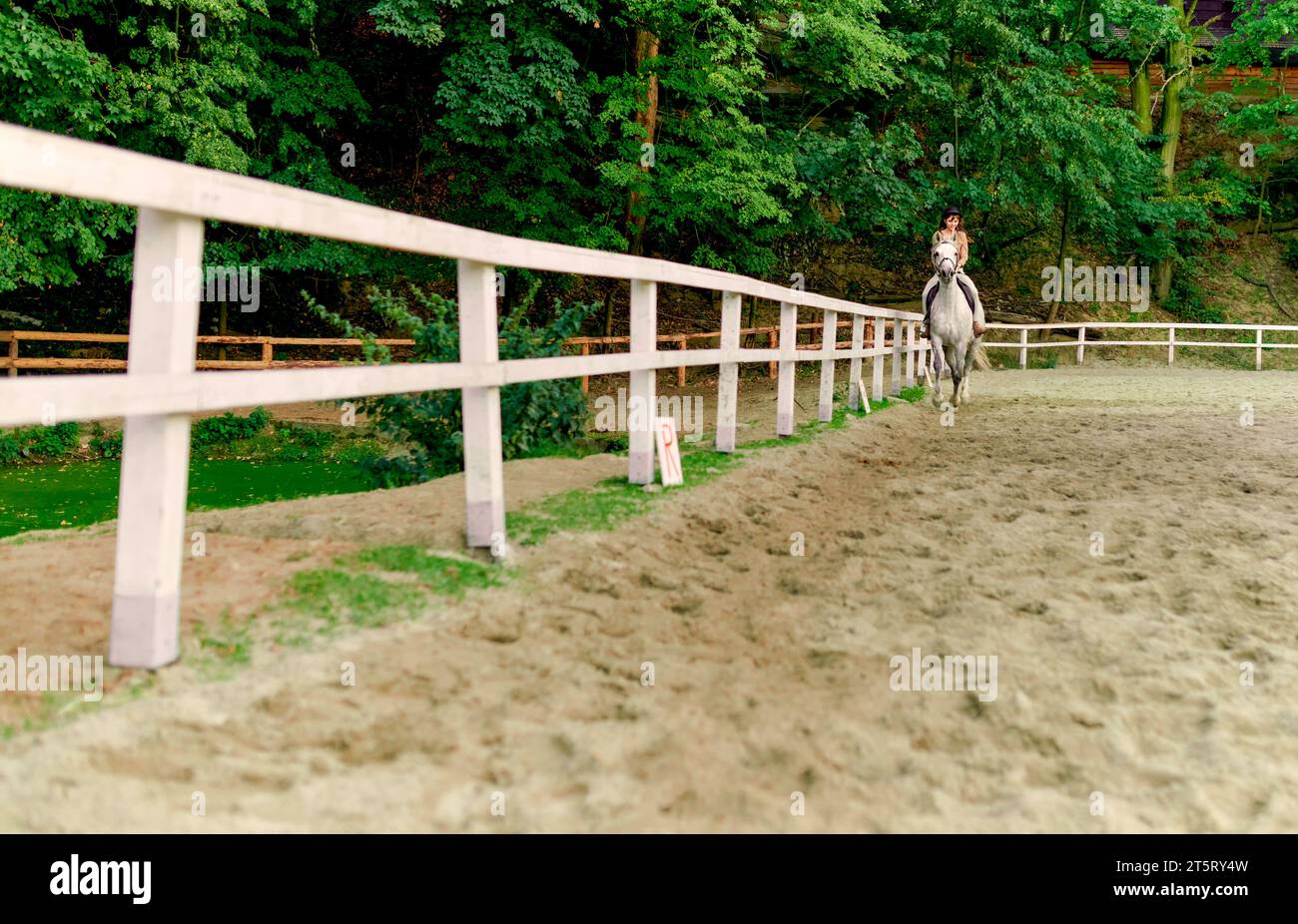 Female jockey on dapple-gray horse at hippodrome. Equestrian woman ...