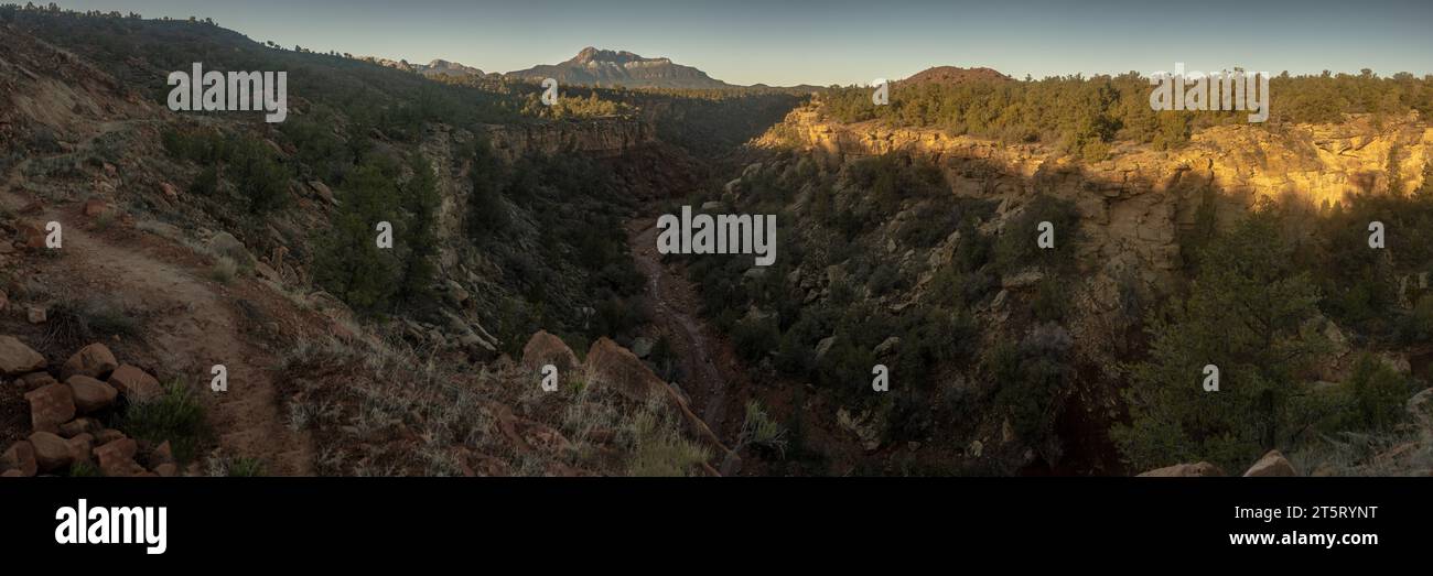 Chinle Trail Cuts Across The Rim Of Huber Wash In The Backcountry of ...