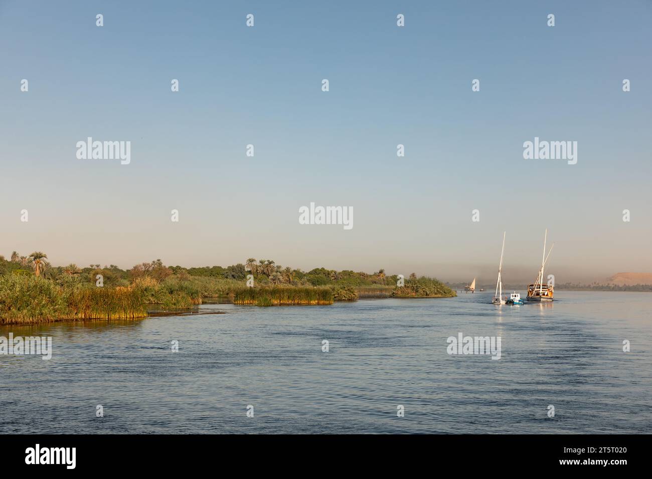 Boats traveling down river past reeds and palms along the banks of the ...