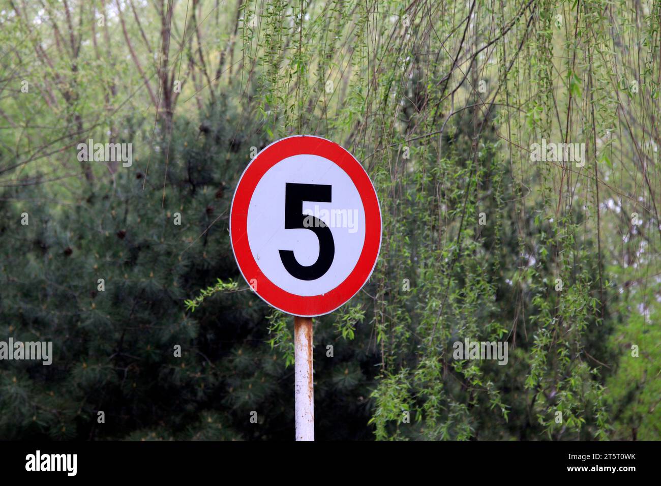 5 km per hour speed limit signs, closeup of photo Stock Photo - Alamy