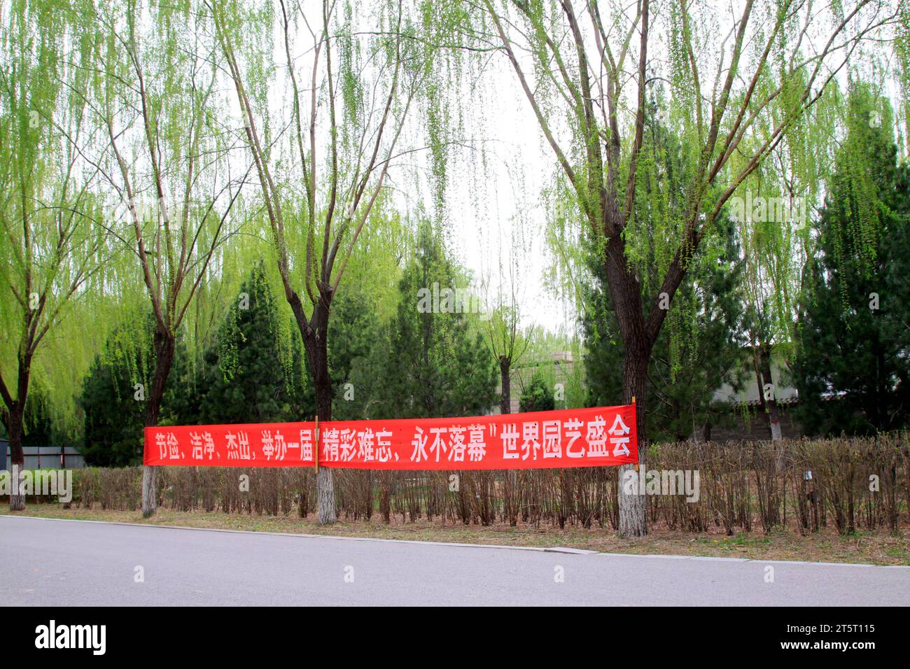 Characters between trees hi-res stock photography and images - Alamy