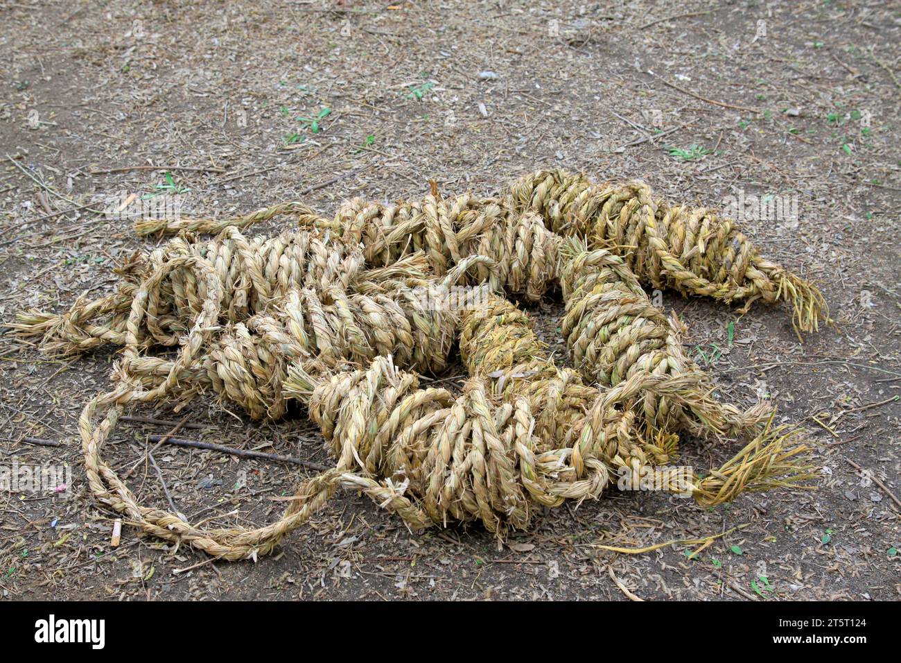 littery straw rope on the ground, closeup of photo Stock Photo - Alamy