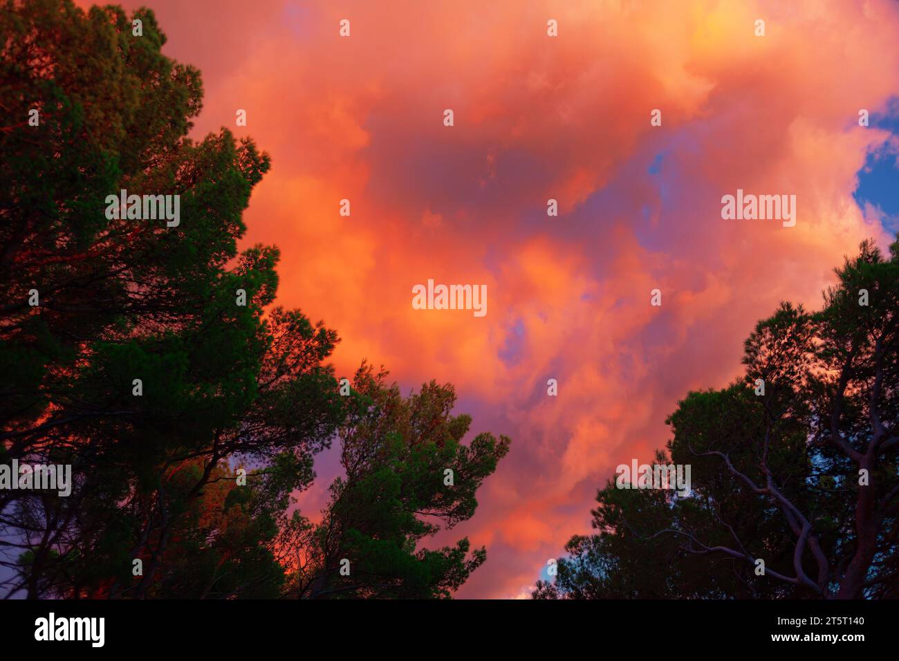 Capturing nature's evening spectacle, the sky ablaze with a vibrant ...