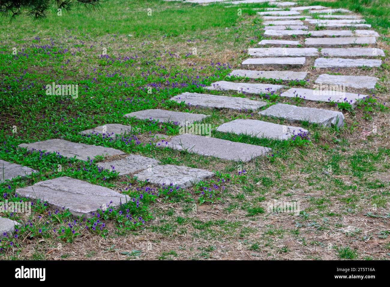 Stone path in the park, closeup of photo Stock Photo - Alamy