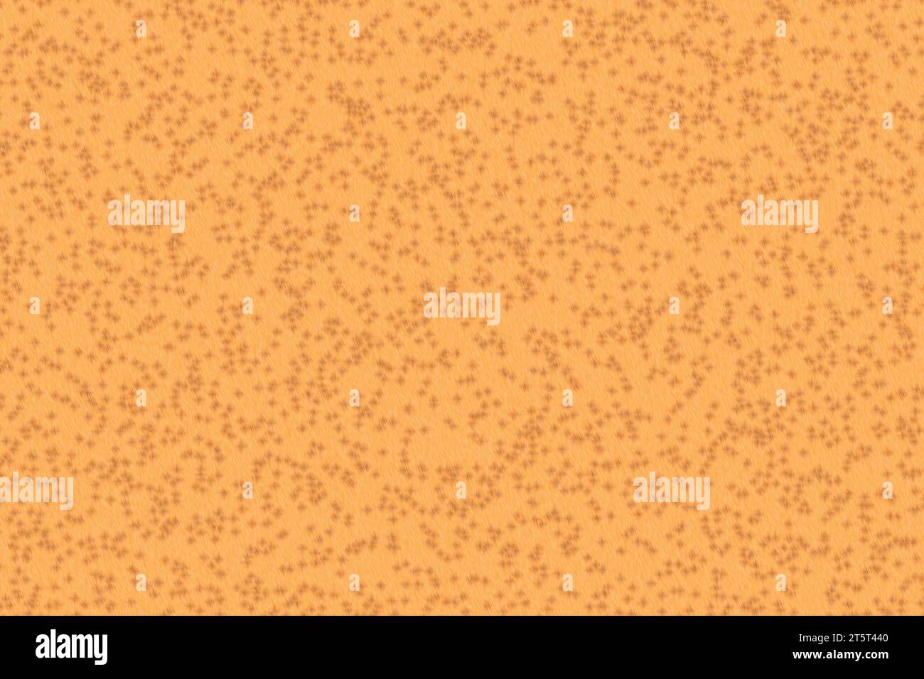 Stellate shape hi-res stock photography and images - Alamy
