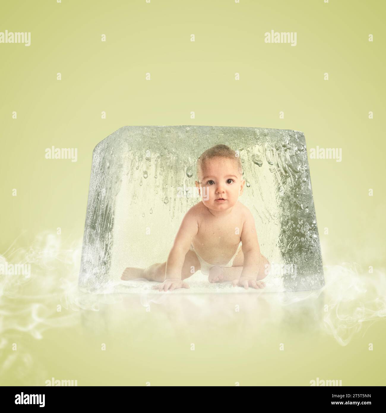 Cryopreservation hi-res stock photography and images - Alamy