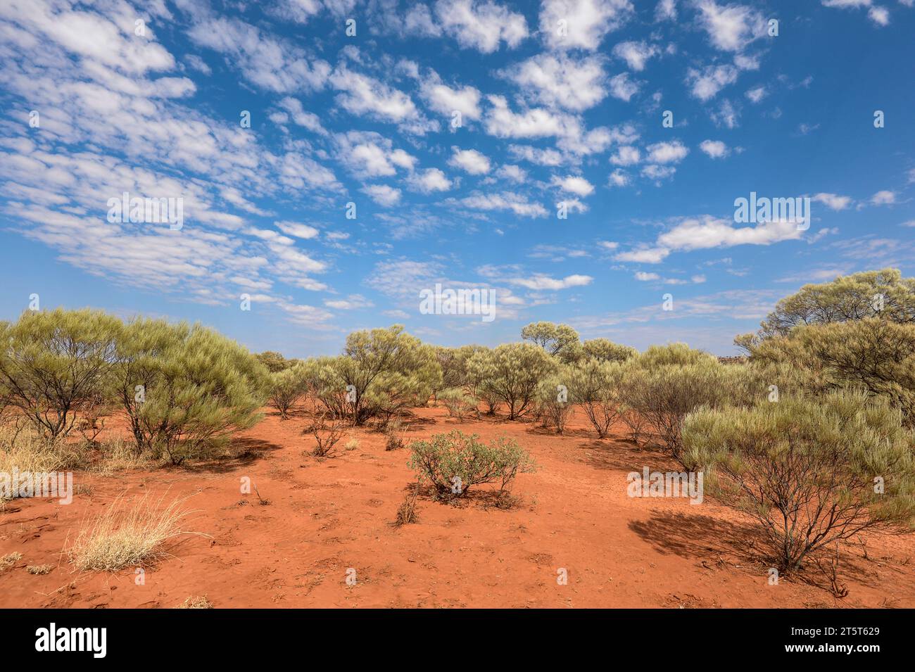 Typical Australian Outback scenery near Mt Augustus, Western Australia ...