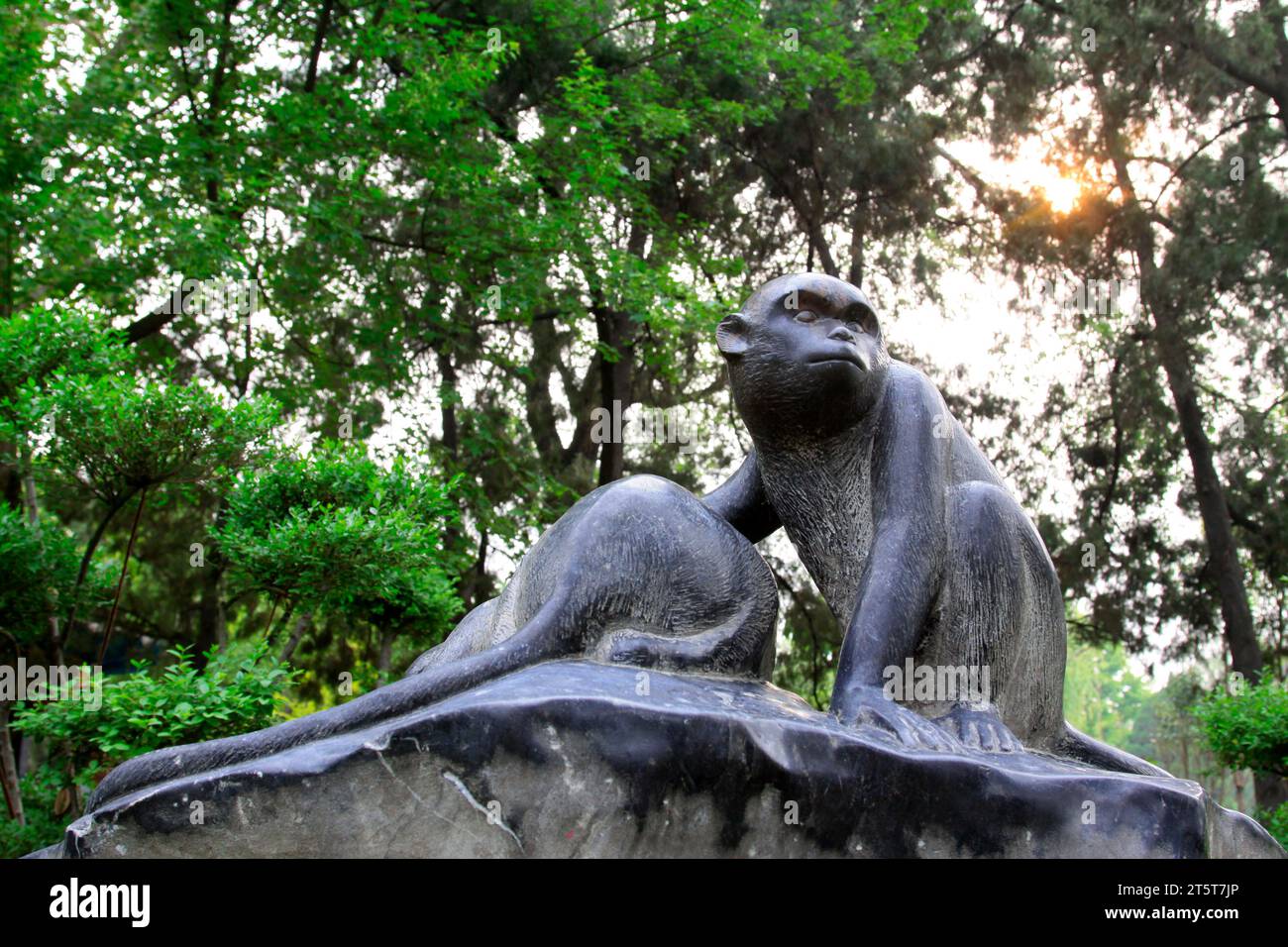 Monkey stone hi-res stock photography and images - Alamy